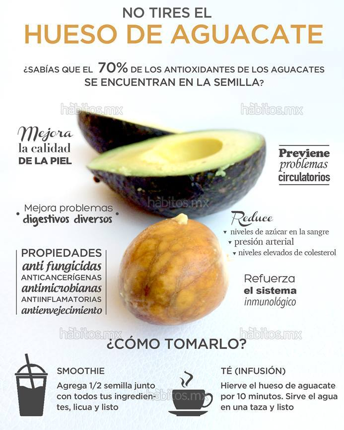 El aguacate: más que solo la pulpa ! – nutripediatria