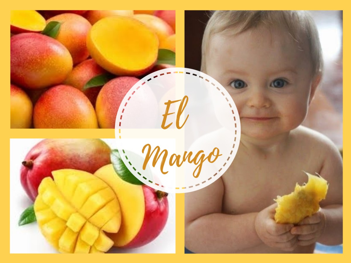 El mango: un manjar para los niños ! – nutripediatria