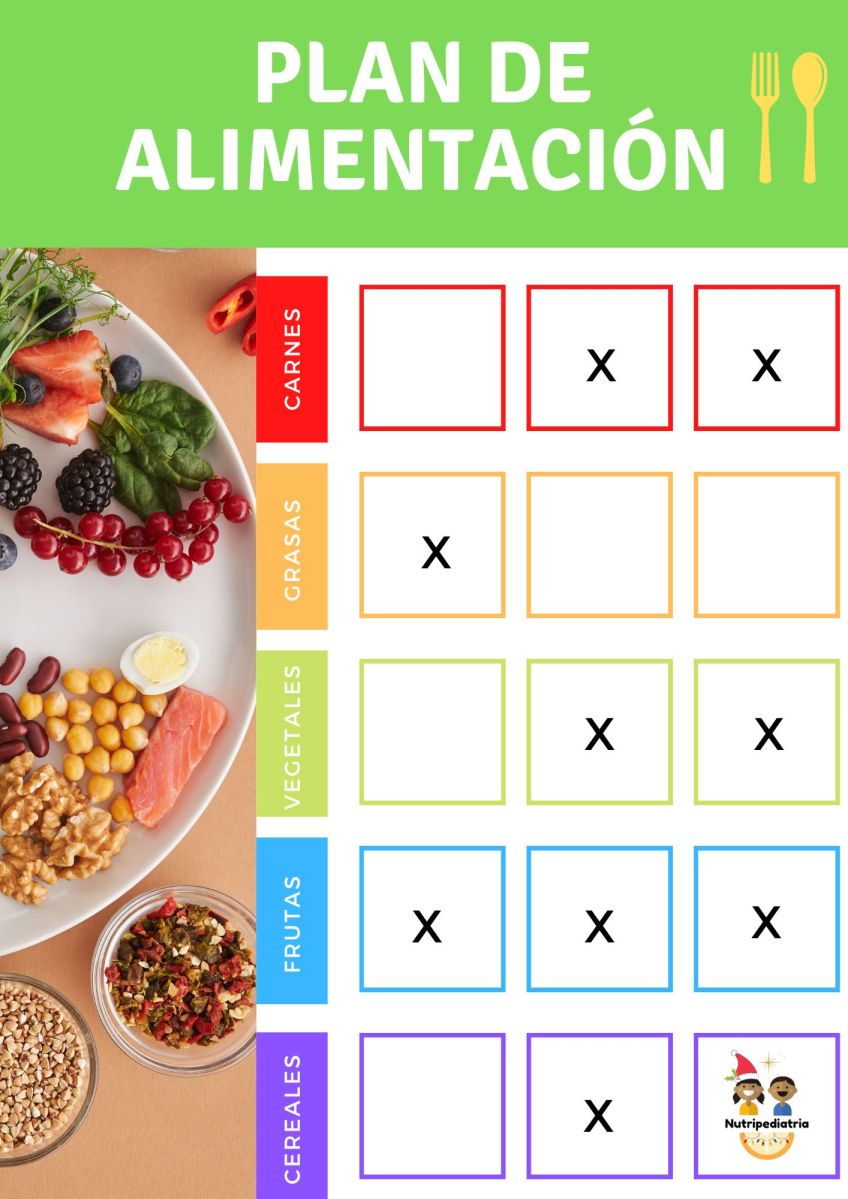 Qué es un Plan de Alimentación? – nutripediatria